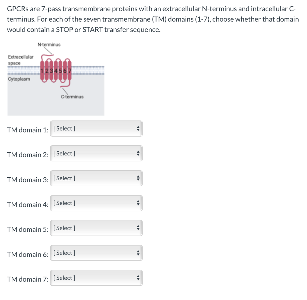 Solved GPCRs are 7-pass transmembrane proteins with an | Chegg.com