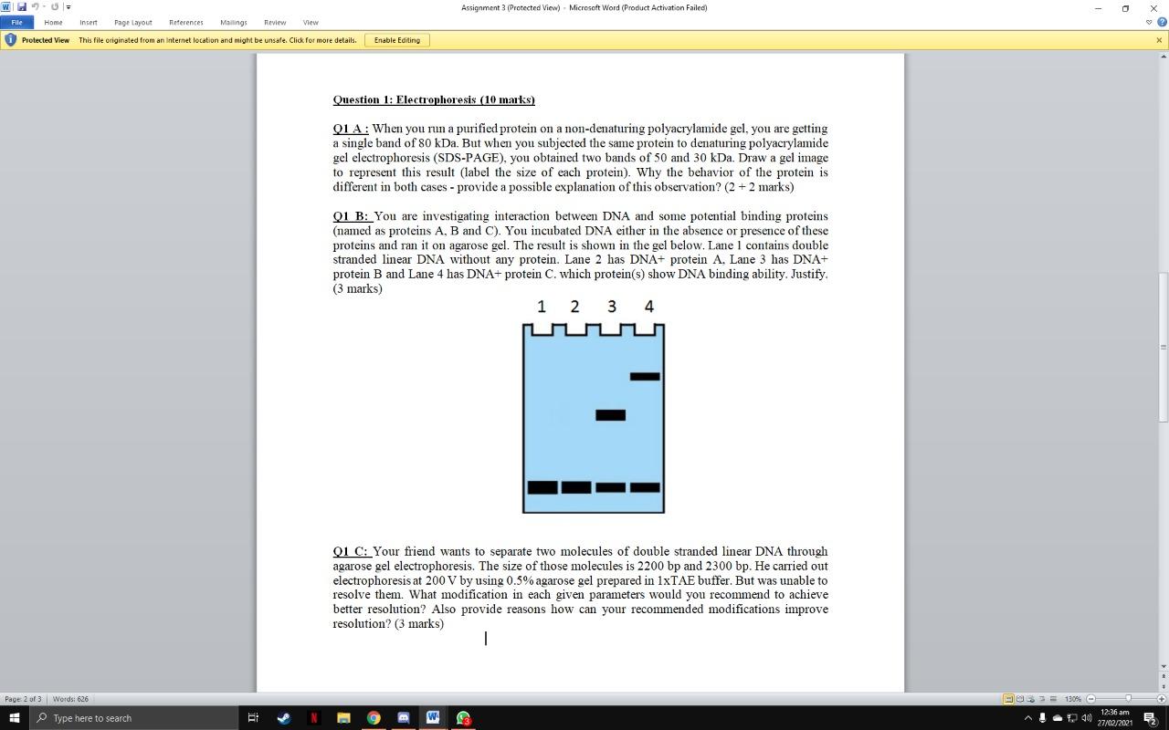 Solved Assignment 3 (Protected View) - Microsoft Word | Chegg.com