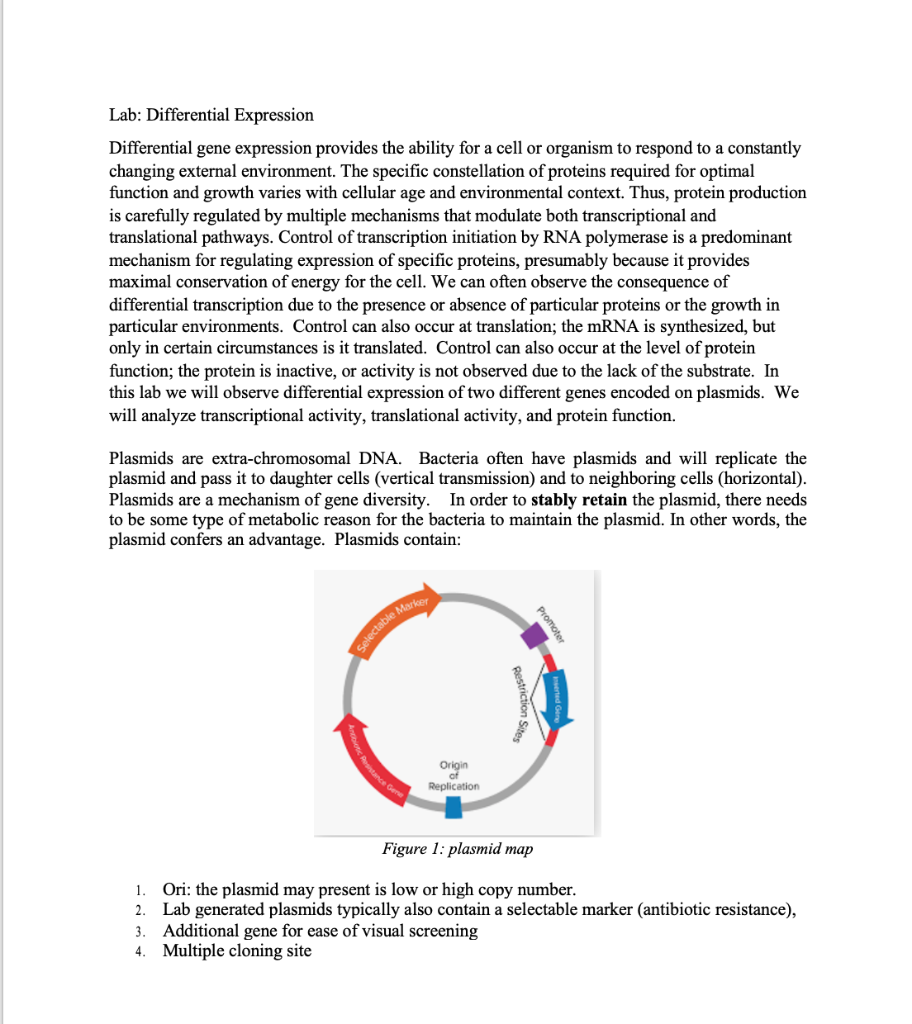 Solved Lab: Differential Expression Differential gene | Chegg.com