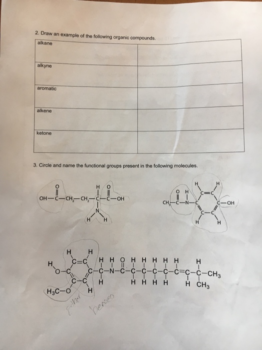 Solved 1. Identify the functional groups on the following | Chegg.com