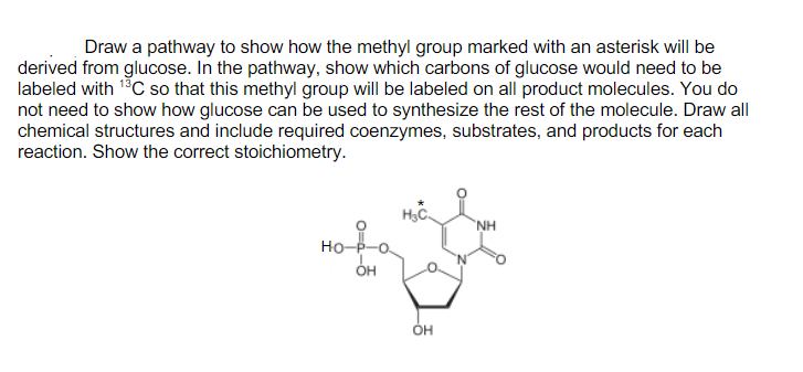 Solved Draw a pathway to show how the methyl group marked | Chegg.com