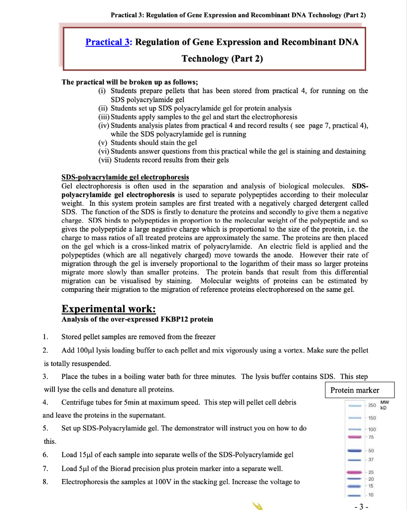 Practical 3: Regulation of Gene Expression and | Chegg.com