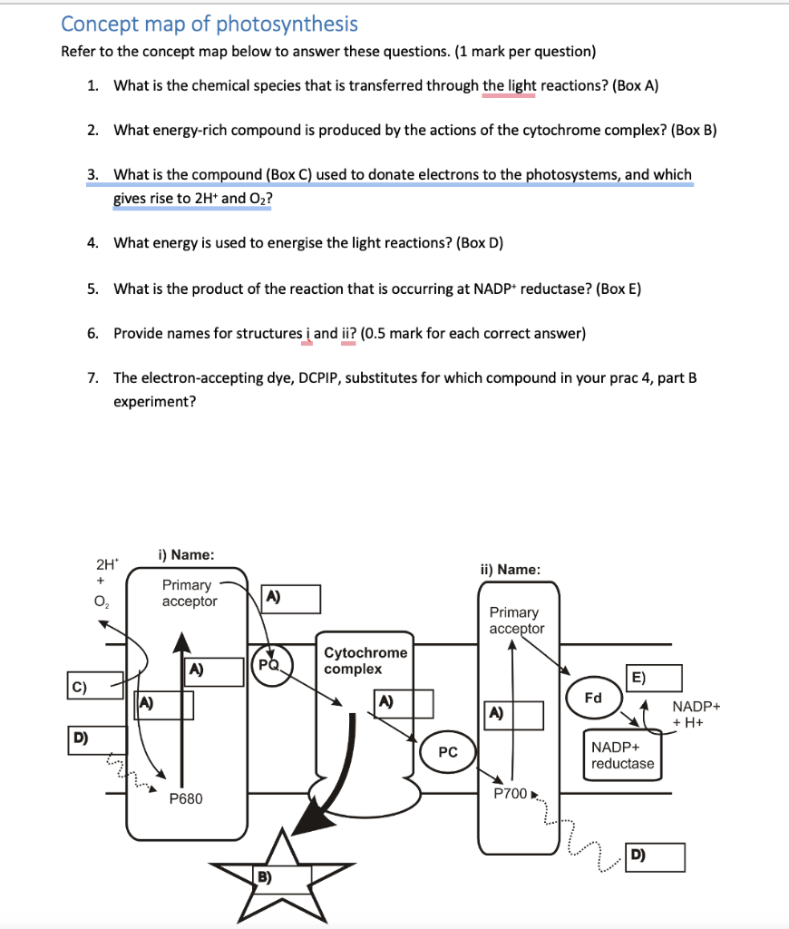 Solved Concept map of photosynthesis Refer to the concept | Chegg.com