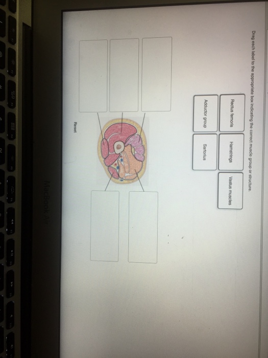 Solved Drag label to the appropriate box indicating the | Chegg.com