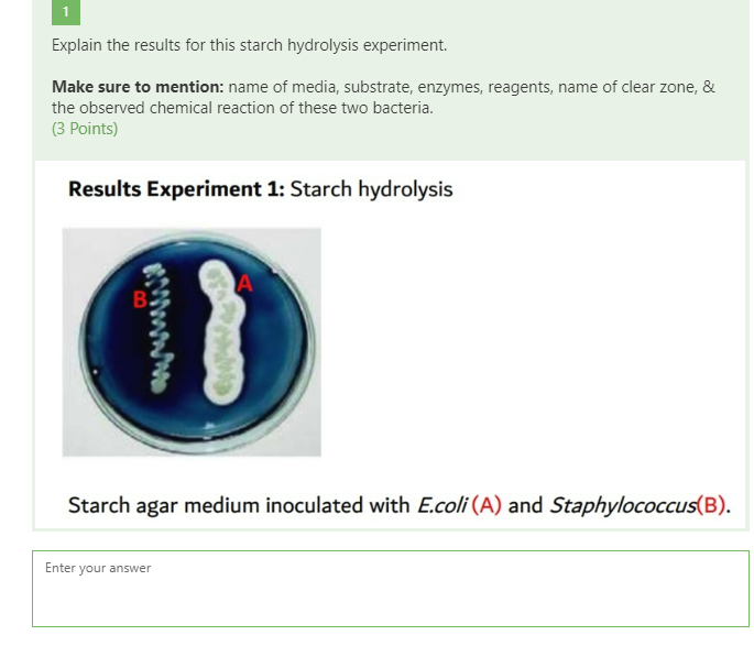 Solved Explain the results for this starch hydrolysis | Chegg.com