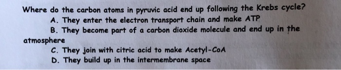 Solved Where do the carbon atoms in pyruvic acid end up | Chegg.com