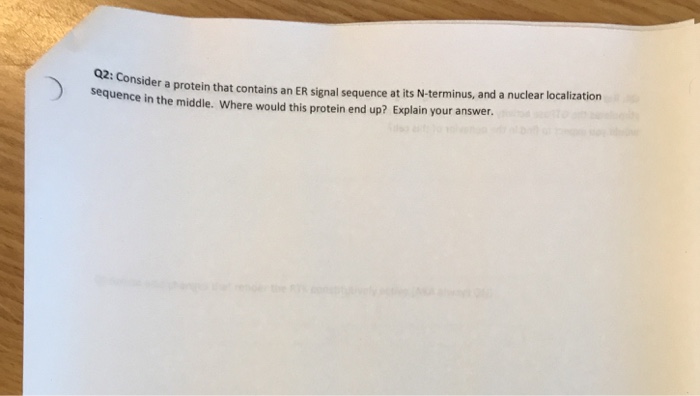 Solved onsider a protein that contains an ER signal sequence | Chegg.com