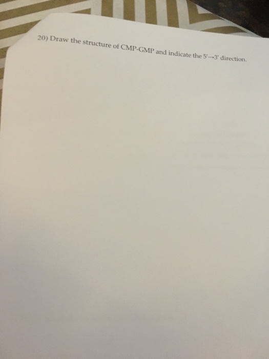 Solved Draw the structure of CMP-GMP and indicate the 5' | Chegg.com