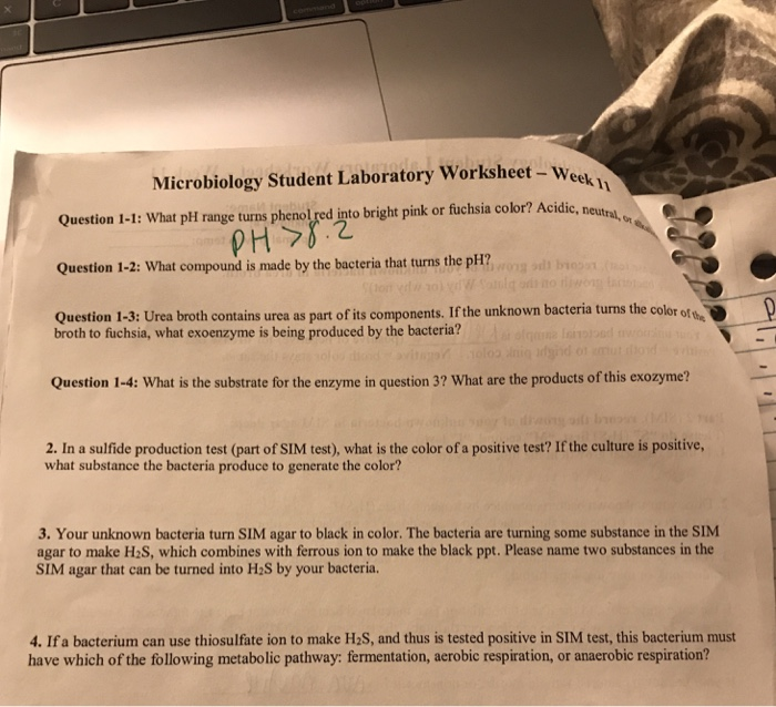 Solved Microbiology Student Laboratory Worksheet-Week ia | Chegg.com
