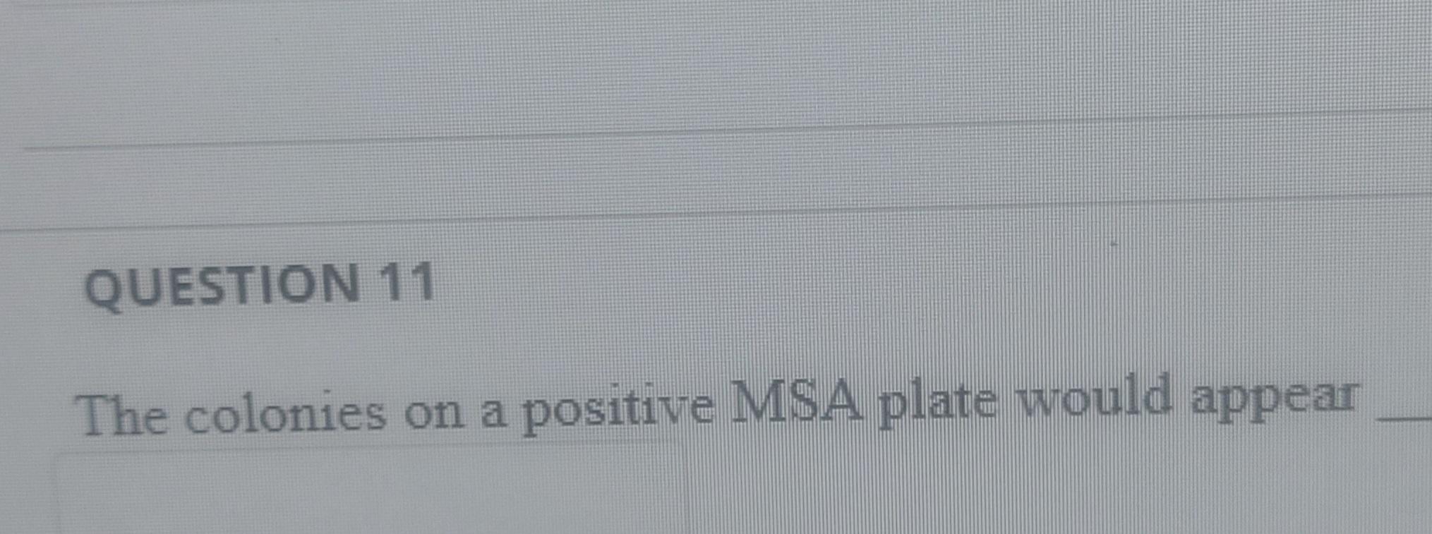 Solved QUESTION 11 The colonies on a positive MSA plate | Chegg.com