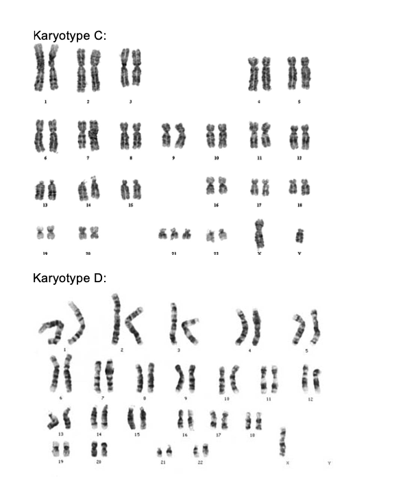 Solved For each karyotype below, answer these questions: | Chegg.com