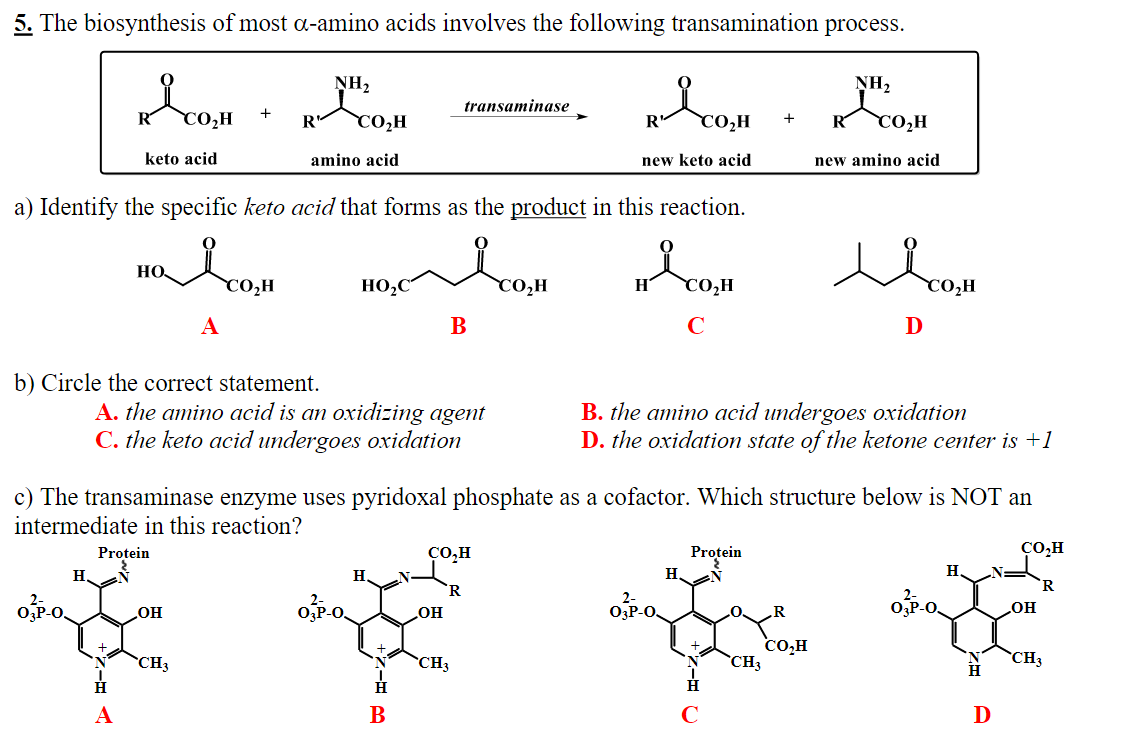 Solved 5. The biosynthesis of most α-amino acids involves | Chegg.com