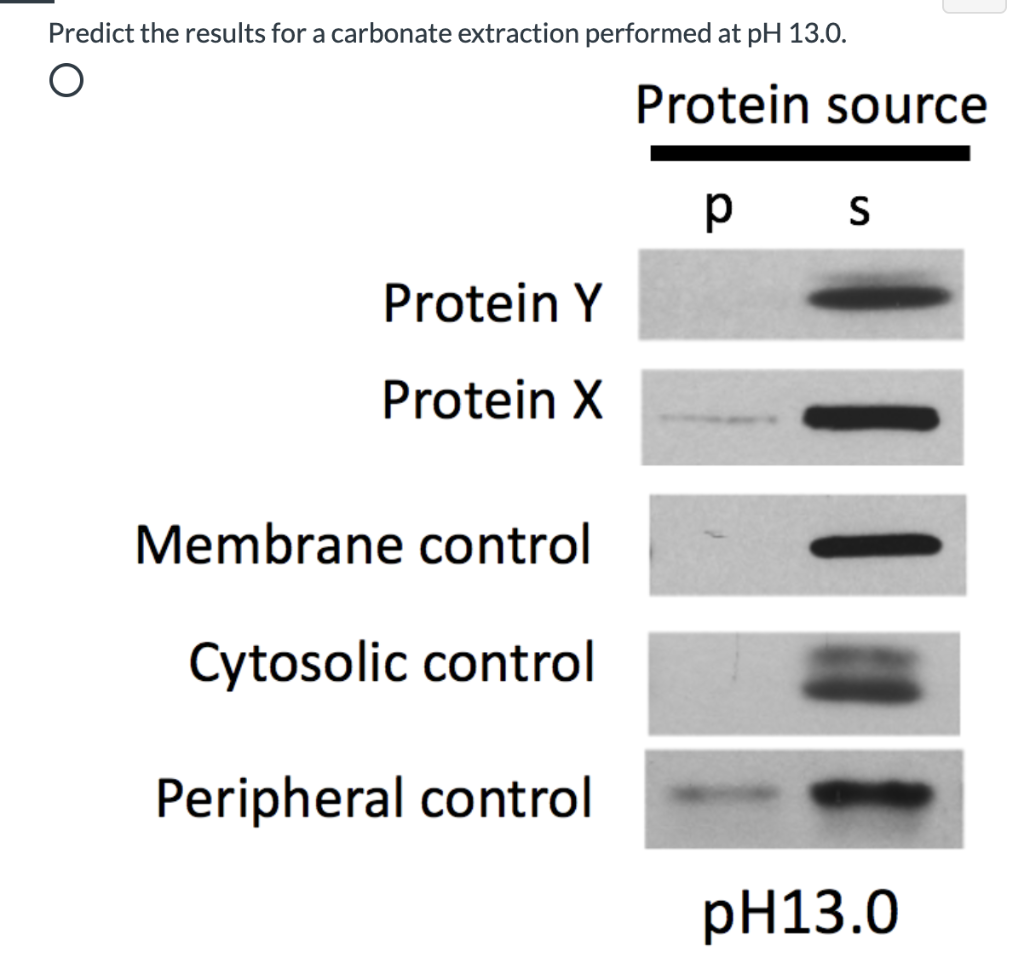 Solved Carbonate Extraction MI Protein source p = pellet s = | Chegg.com