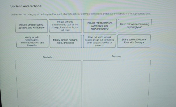Solved Bacteria and archaea Determine the category of | Chegg.com