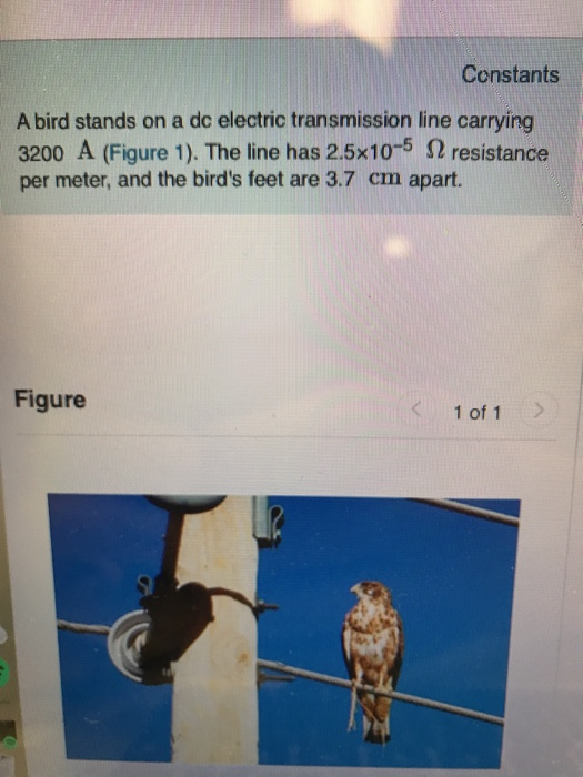 Solved Constants A bird stands on a dc electric transmission | Chegg.com
