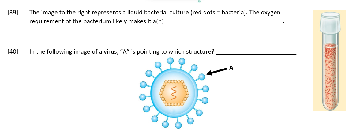 Solved [39] The image to the right represents a liquid | Chegg.com