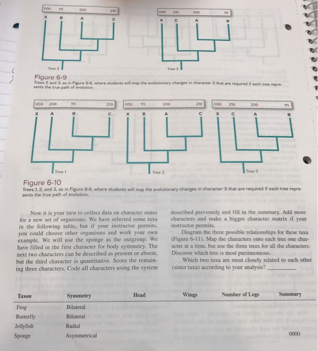 000 200 210 -Character 2 changes to state 1 Character | Chegg.com