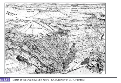 3. What is the total displacement of the Toroweap | Chegg.com