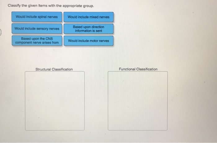 Solved Classify the given items with the appropriate group. | Chegg.com