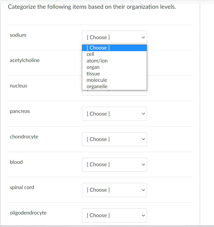 Solved Categorize the following items based on their | Chegg.com