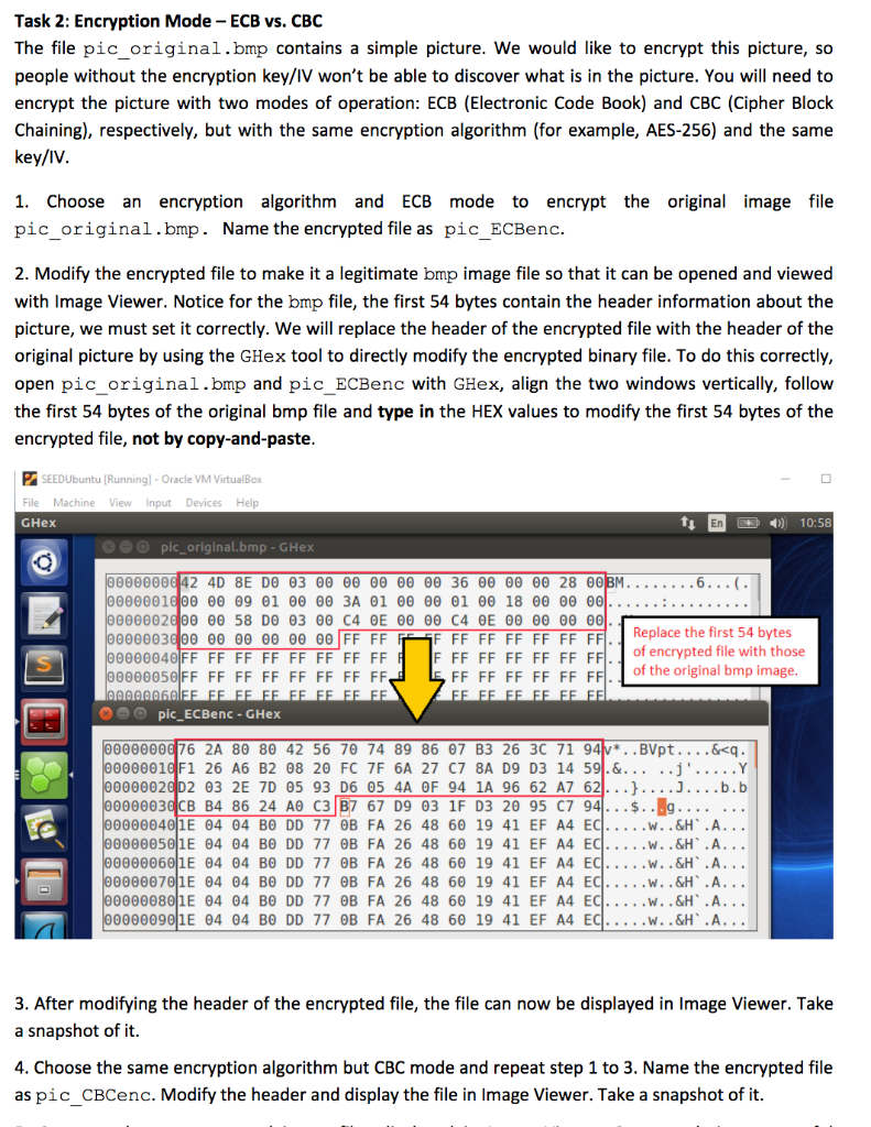 Solved Task 2: Encryption Mode - ECB vs. CBC The file | Chegg.com