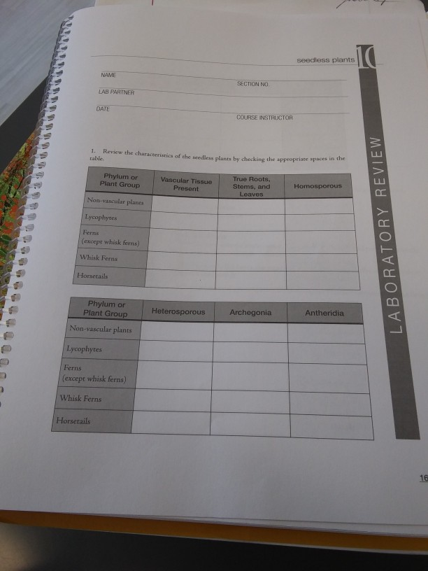 Solved seedless plants NAME SECTION NO. LAB PARTNER COURSE | Chegg.com