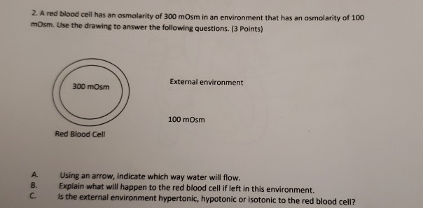Solved 2. A red blood cell has an osmolarity of 300 mOsm in | Chegg.com