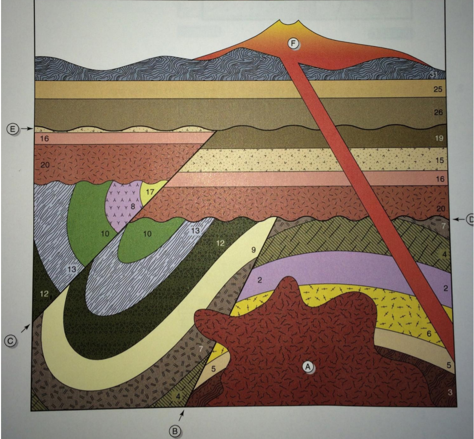 Solved Geologic cross section for relative age analysis. | Chegg.com