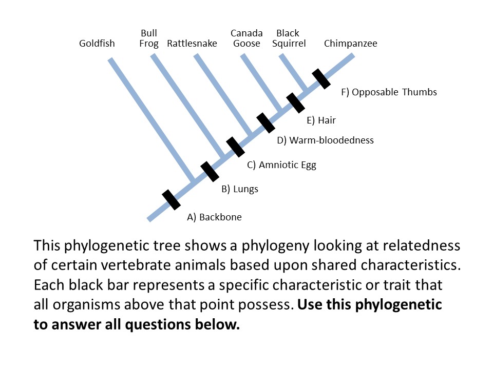 Solved 1. Based upon the shared characteristics that this | Chegg.com