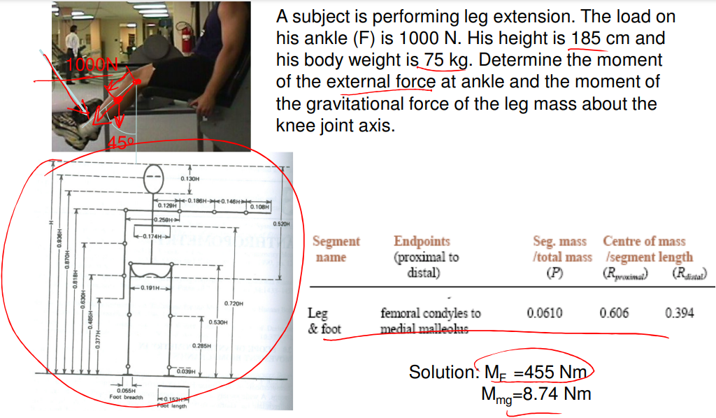 Solved subject is performing leg extension. The load on s | Chegg.com