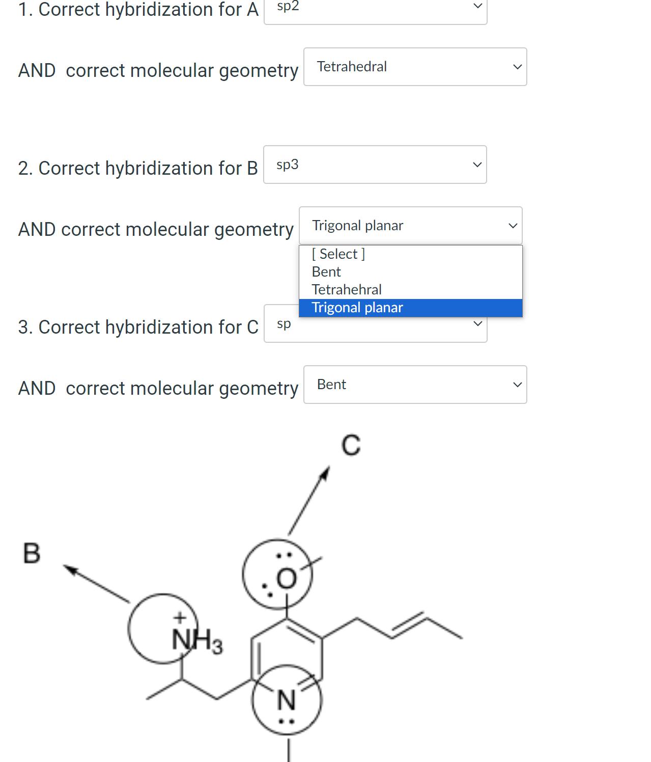 Solved And Correct Molecular Geometry 2 Correct