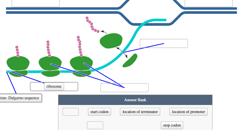 Solved Match a descriptor to each region of the diagram for | Chegg.com