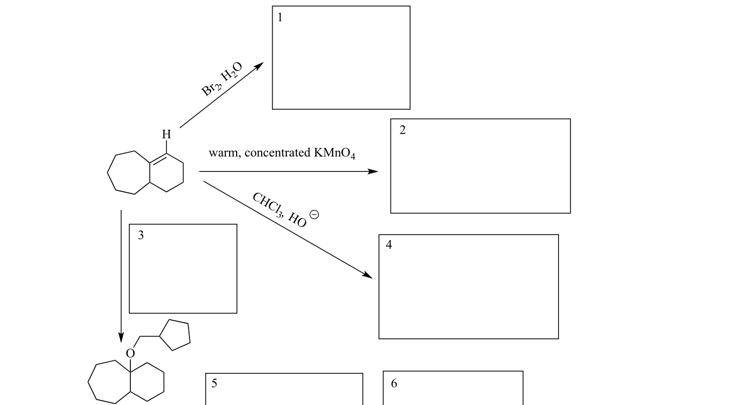 Solved 1 Br2, H2O H 2 warm, concentrated KMnO4 CHCl3, HO 4. | Chegg.com