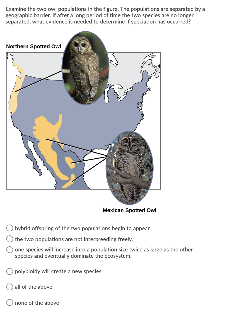 Solved Examine the two owl populations in the figure. The | Chegg.com