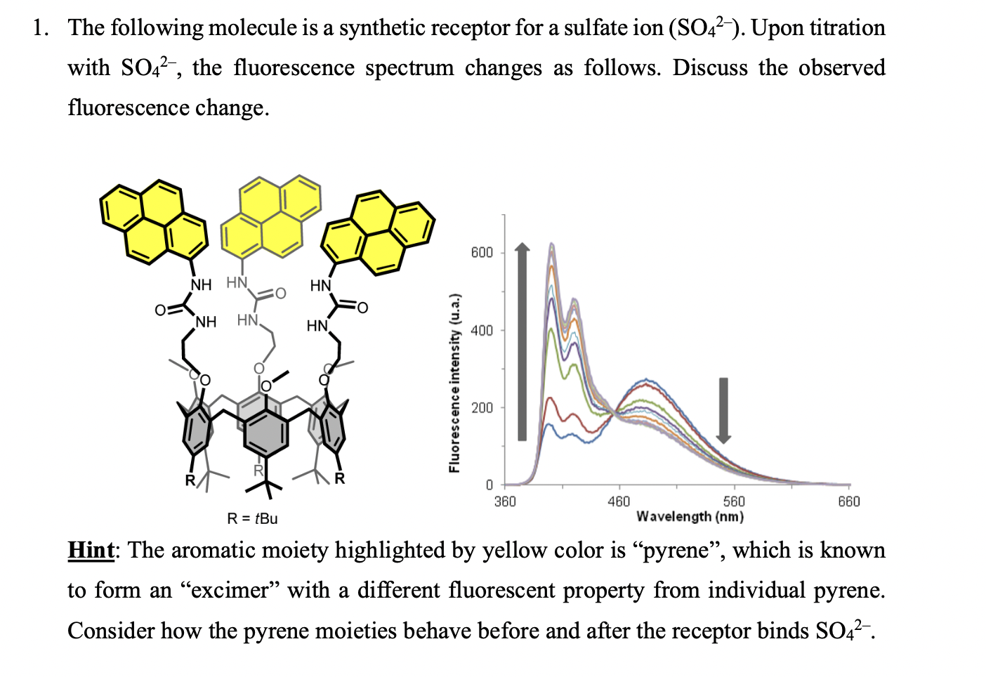 Solved The following molecule is a synthetic receptor for a | Chegg.com