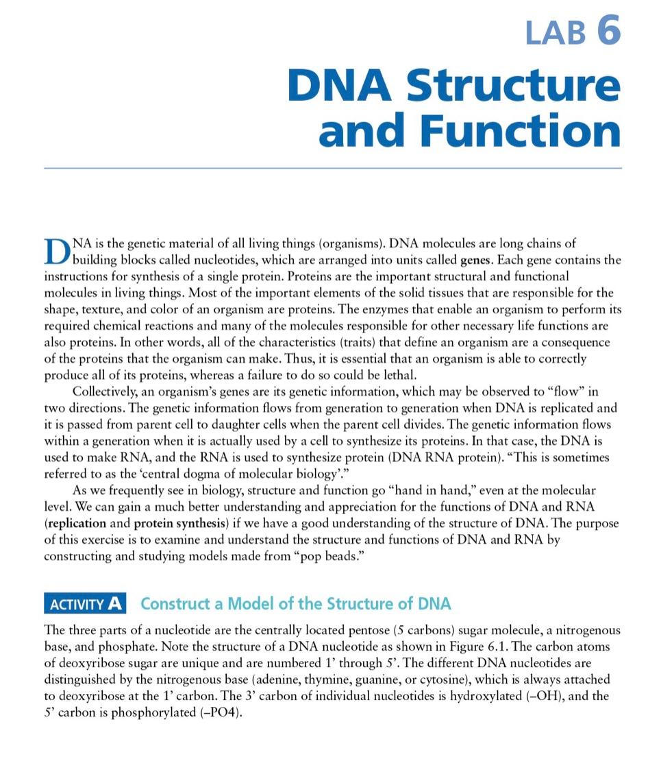 Solved LAB 6 DNA Structure and Function NA is the genetic | Chegg.com