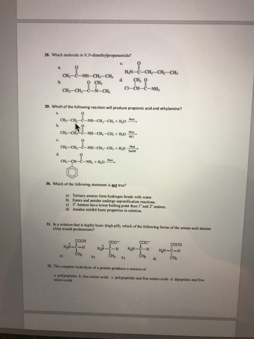 Solved 28. Which molecule is N.N-dimethylpropanamide HN-C-CH | Chegg.com