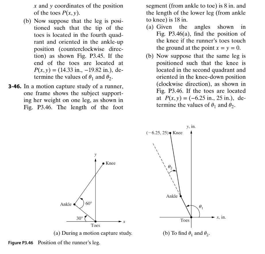 Solved x and v coordinates of the position segment (from | Chegg.com