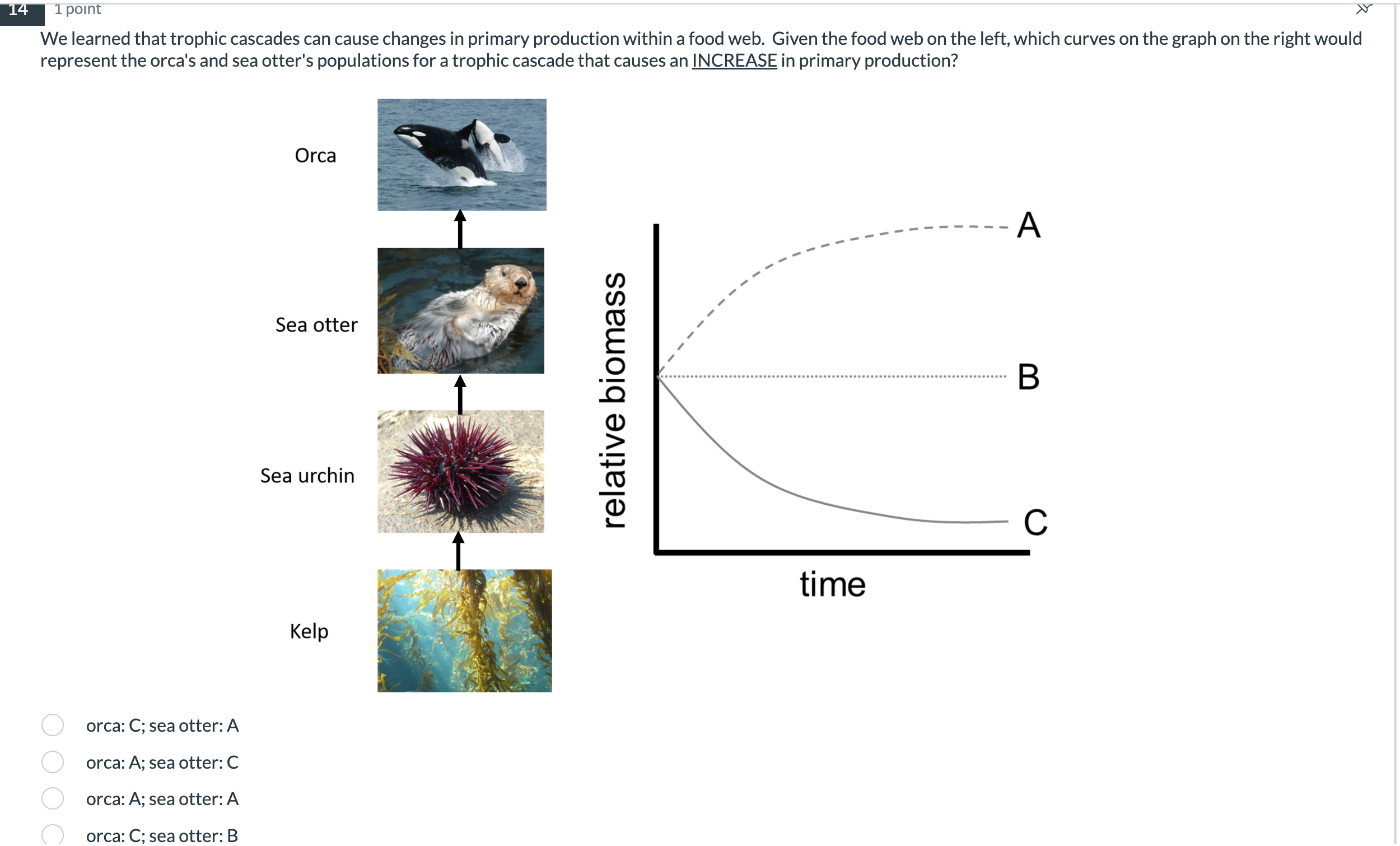 Solved 141 ﻿pointWe learned that trophic cascades can cause | Chegg.com