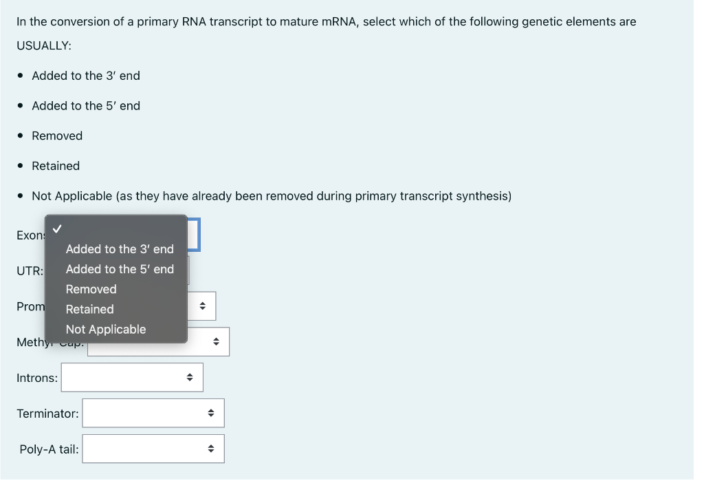 Solved In the conversion of a primary RNA transcript to | Chegg.com