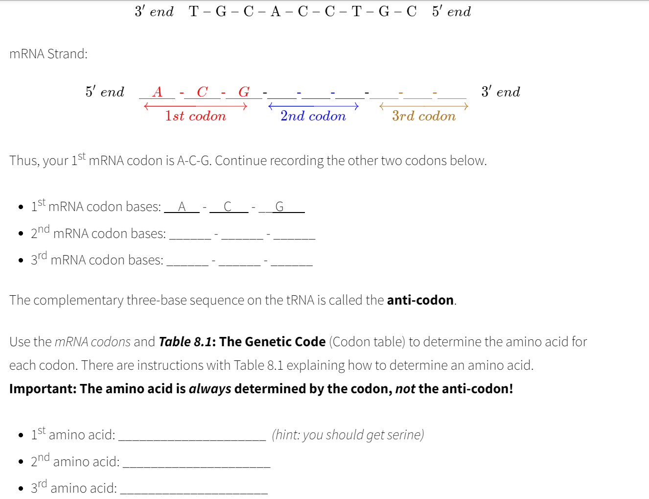 Solved 3' end T - G - C - A - C - C-T-G-C 5' end mRNA | Chegg.com