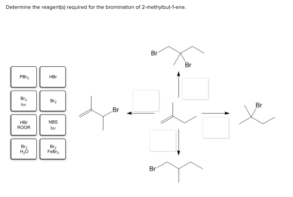 Solved Determine the reagent(s) required for the bromination | Chegg.com
