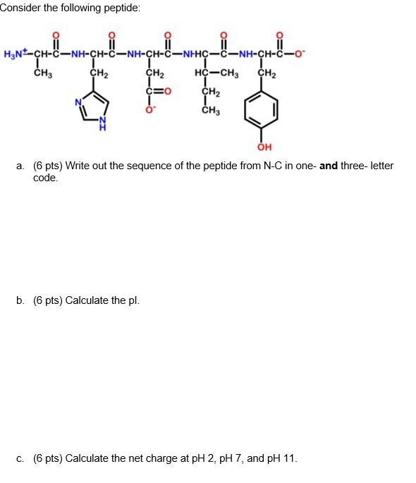 Solved Consider the following peptide: | Chegg.com