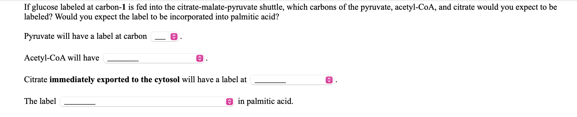 Citrate Pyruvate Shuttle