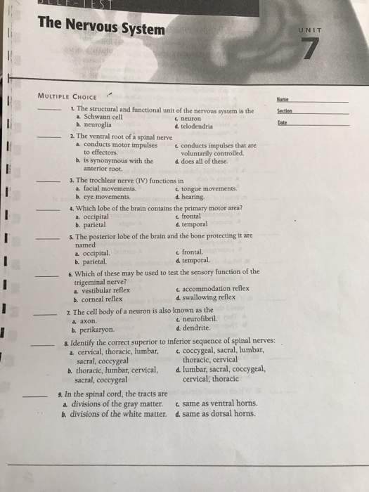 Solved The Nervous System UNIT 7 MULTIPLE CHOICE 1 The | Chegg.com