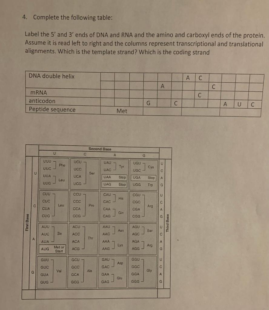 Solved 4. Complete the following table: Label the 5′ and 3′ | Chegg.com