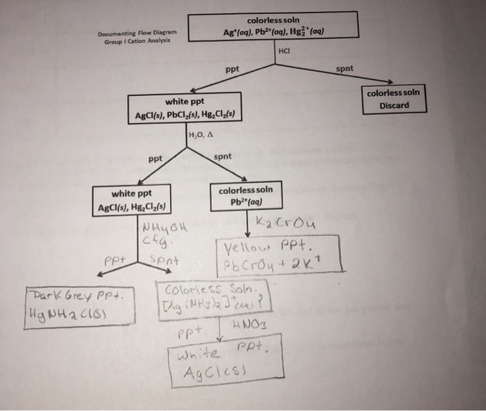 Solved what is the purpose of adding each reagent to the | Chegg.com
