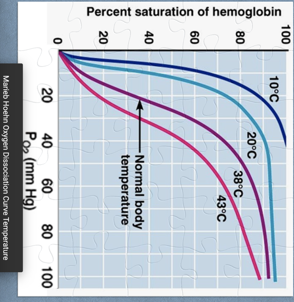 Solved Working with the graph that you have just assembled, | Chegg.com