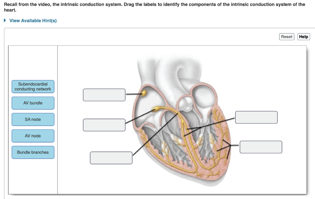 Solved Recall from the video, the intrinsic conduction | Chegg.com
