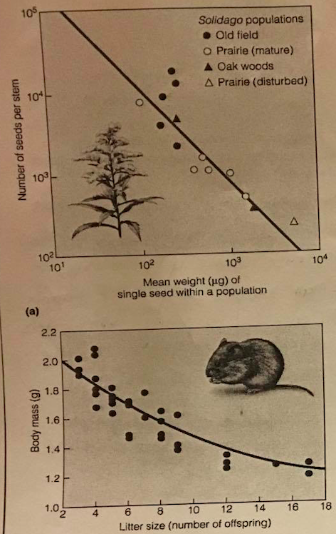 Solved using the figures what conclusion can you make | Chegg.com